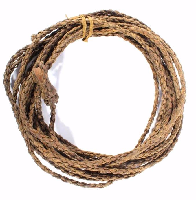 Montana Cowboy Braided Rawhide Riata 19th Century