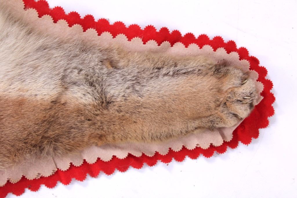 Mountain Lion Trophy Montana Hide Rug