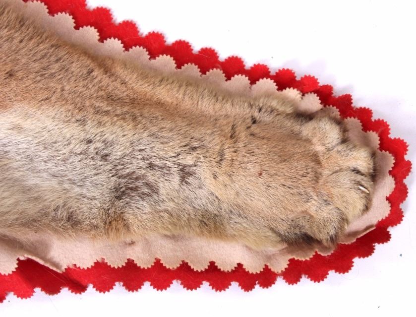 Mountain Lion Trophy Montana Hide Rug