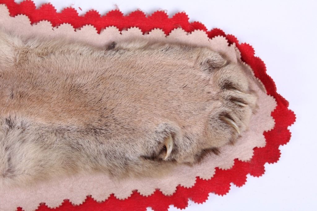 Mountain Lion Trophy Montana Hide Rug