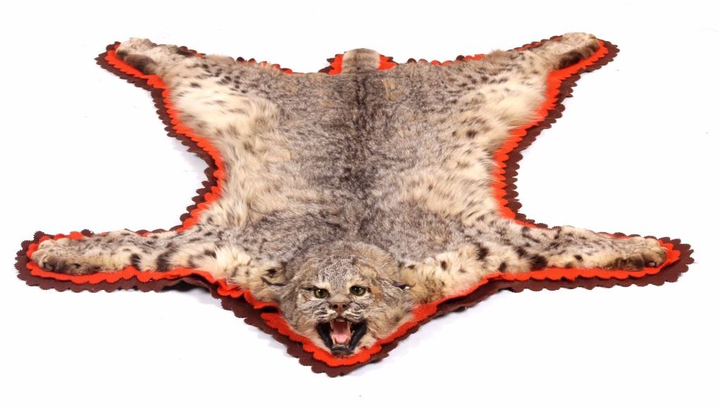 Bobcat Trophy Montana Rug