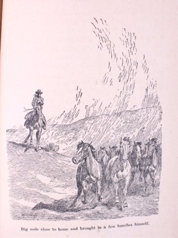 Will James Cowboy Book Collection