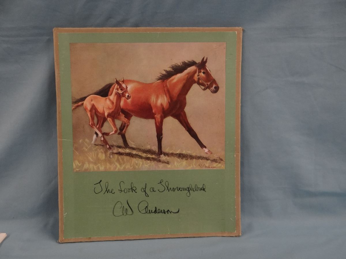 C.W. Anderson portfolio, The Look of a Thoroughbred, 8 prints, all 11 ...