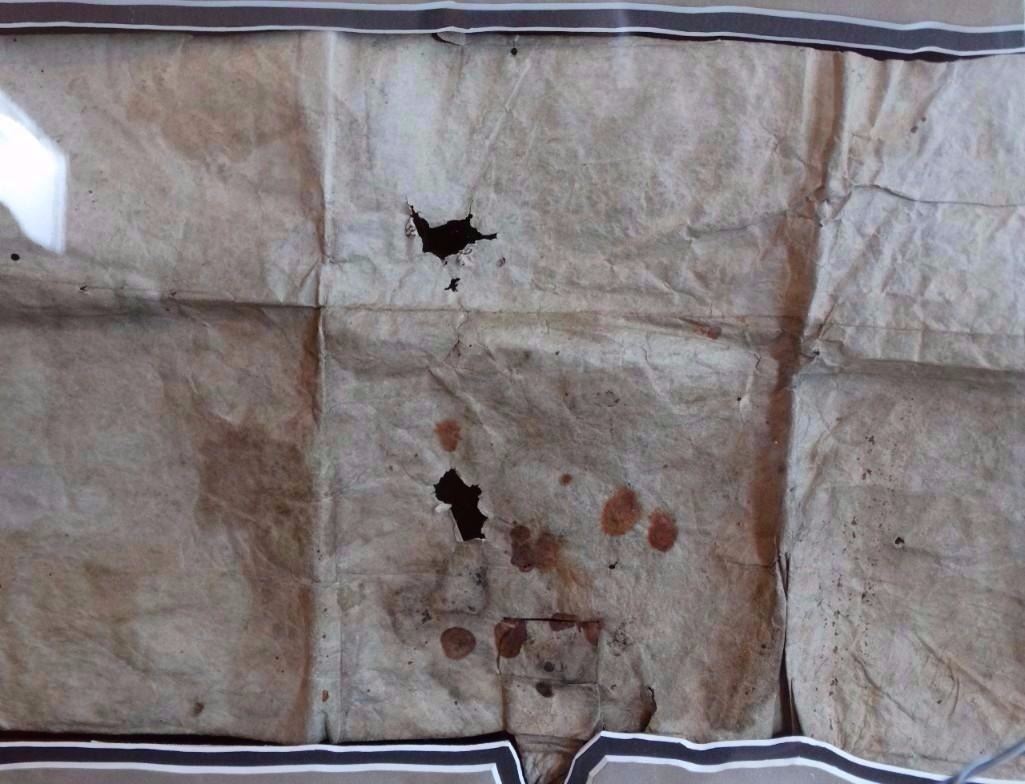 1572 Elizabeth I Parchment Charter (Royal Pardon) W/Noble Seal ...