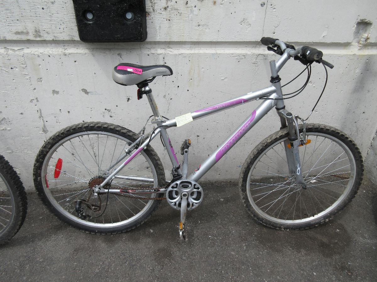21 Speed Infinity mountain bike - used