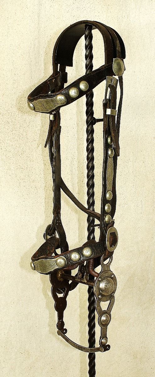 Attractive Silver Bridle