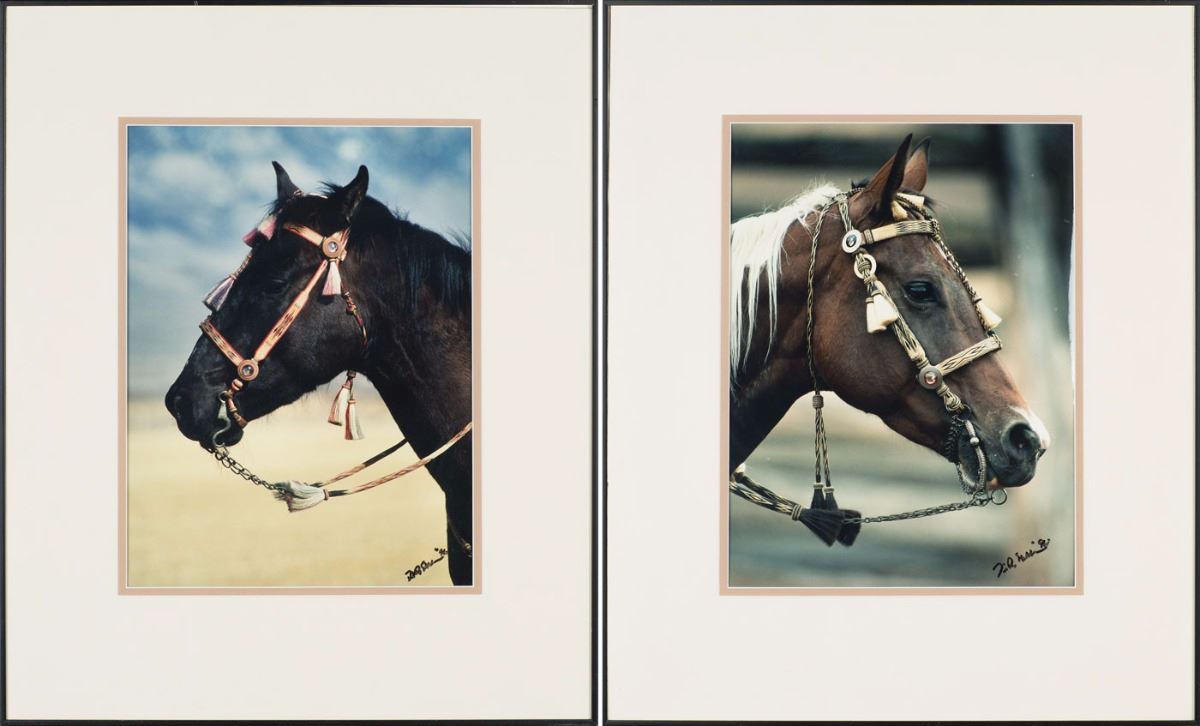 Pair of Signed David Stoecklein Photographs