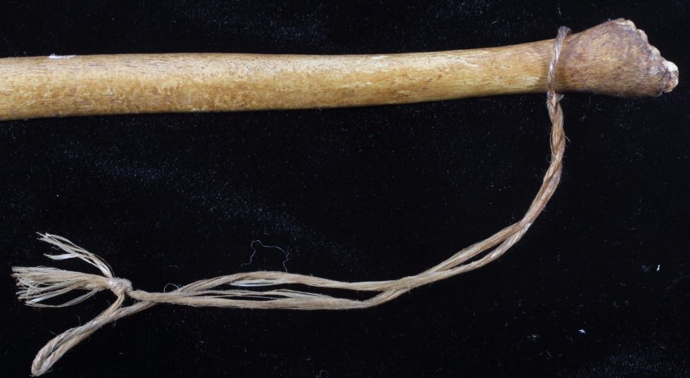 Eskimo Inuit Oosik Baculum Seal Club EARLY