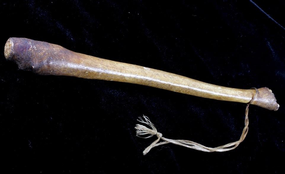 Eskimo Inuit Oosik Baculum Seal Club EARLY