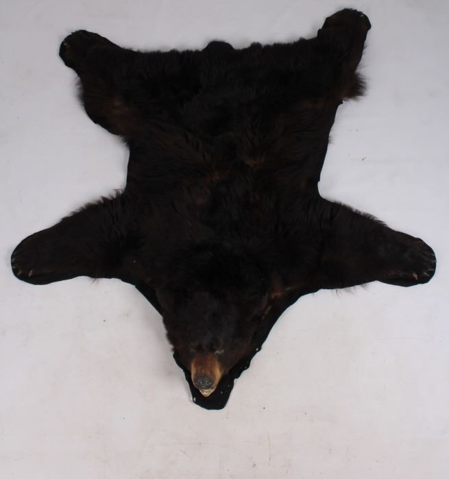 Montana Black Bear Taxidermy Rug Mount