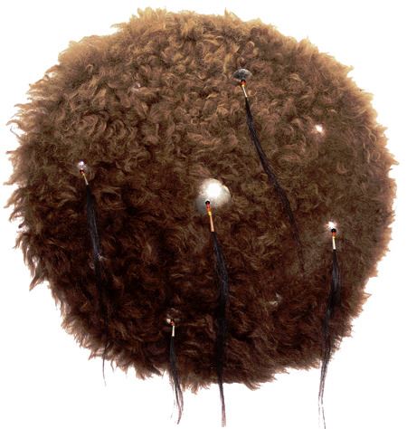 Buffalo Hide Shield
