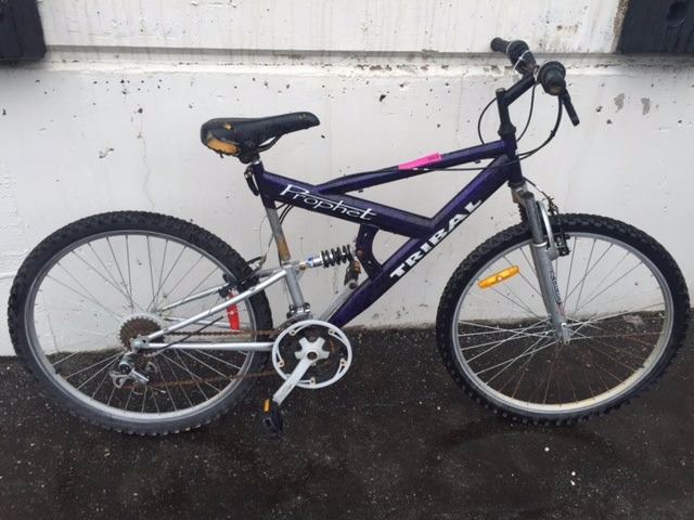 21 Speed Tribal "Prophet" Mountain Bike