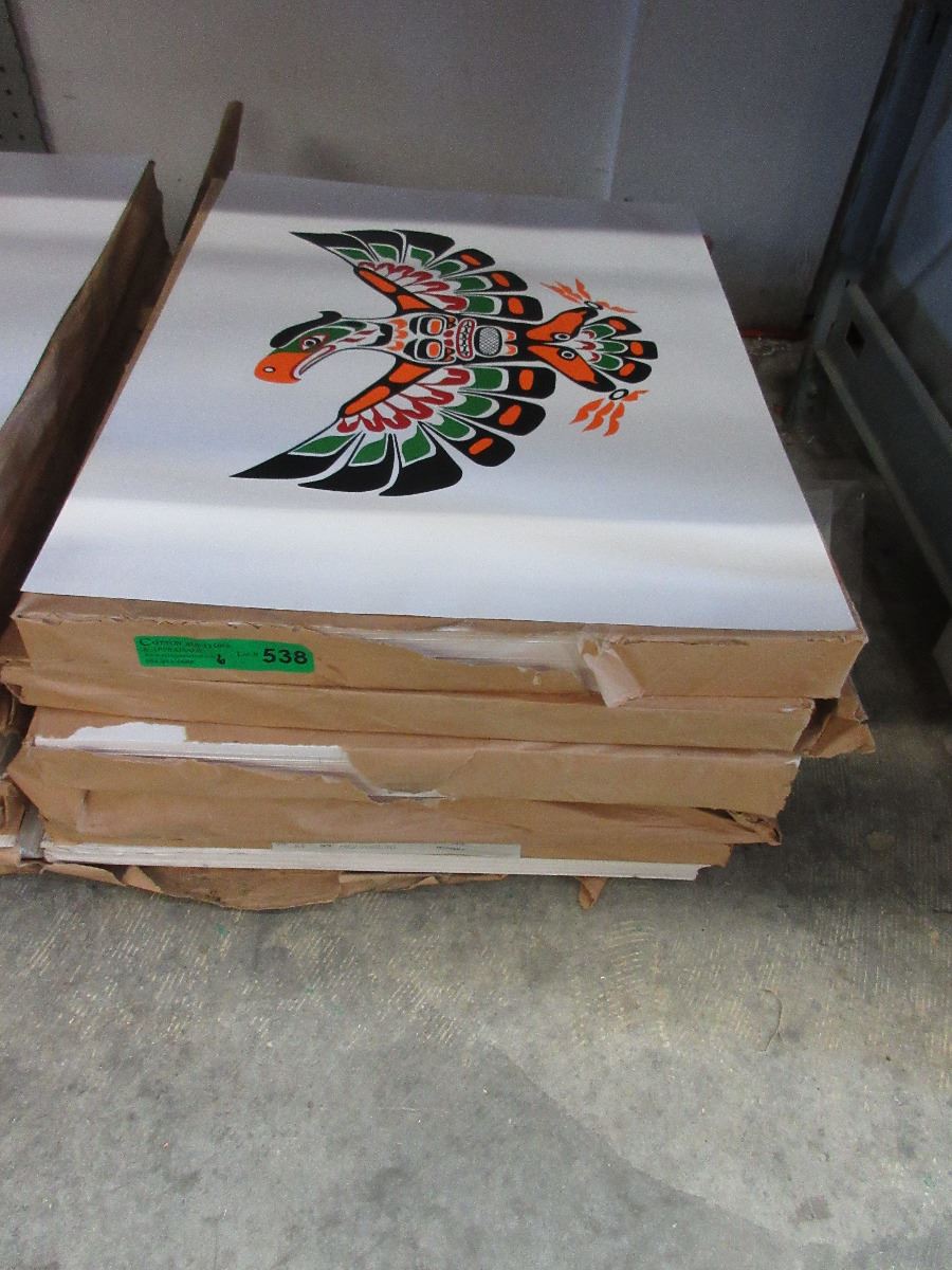 6 Packages of First Nations posters