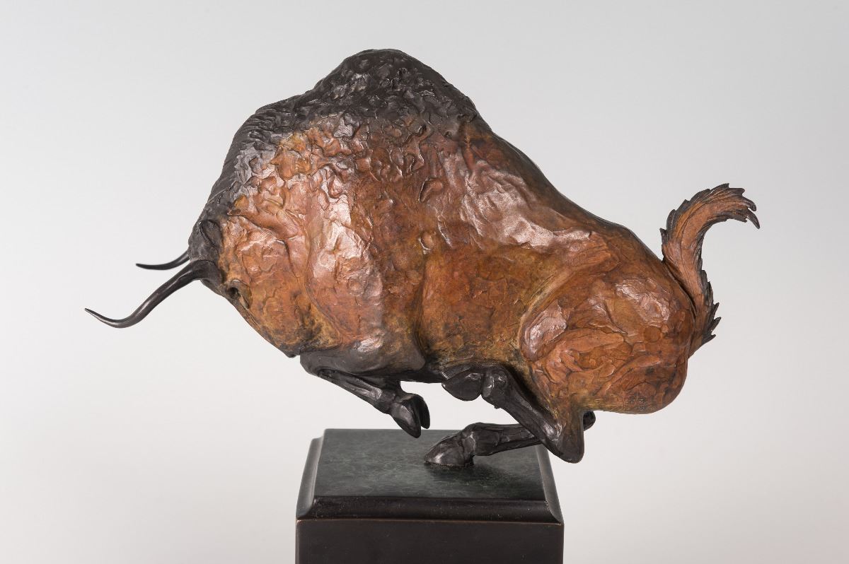 Star Liana York, bronze