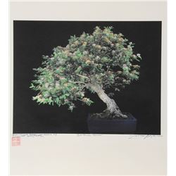 Jonathan Singer, Imperial Series VIII, Digital Photograph