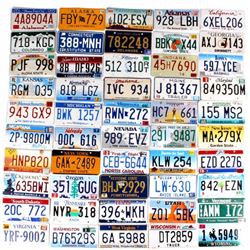U.S. 50 State License Plate Collection