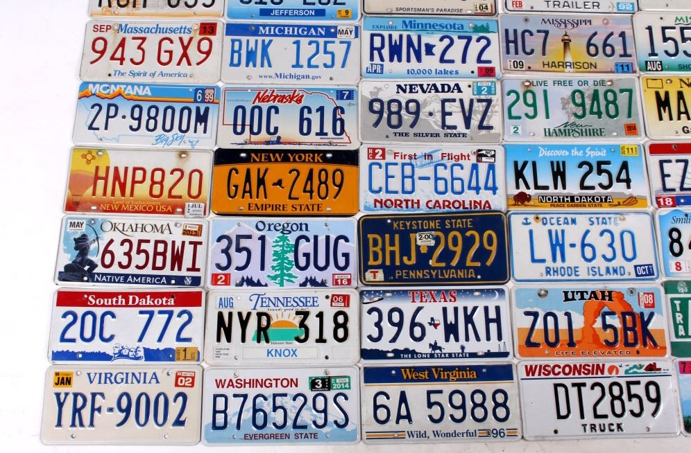 U.S. 50 State License Plate Collection
