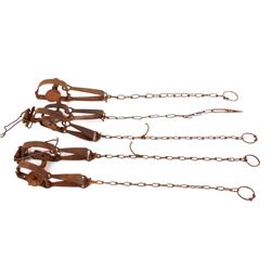 Vintage Collection Of Beaver Traps