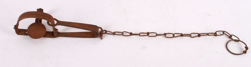 Vintage Collection Of Beaver Traps