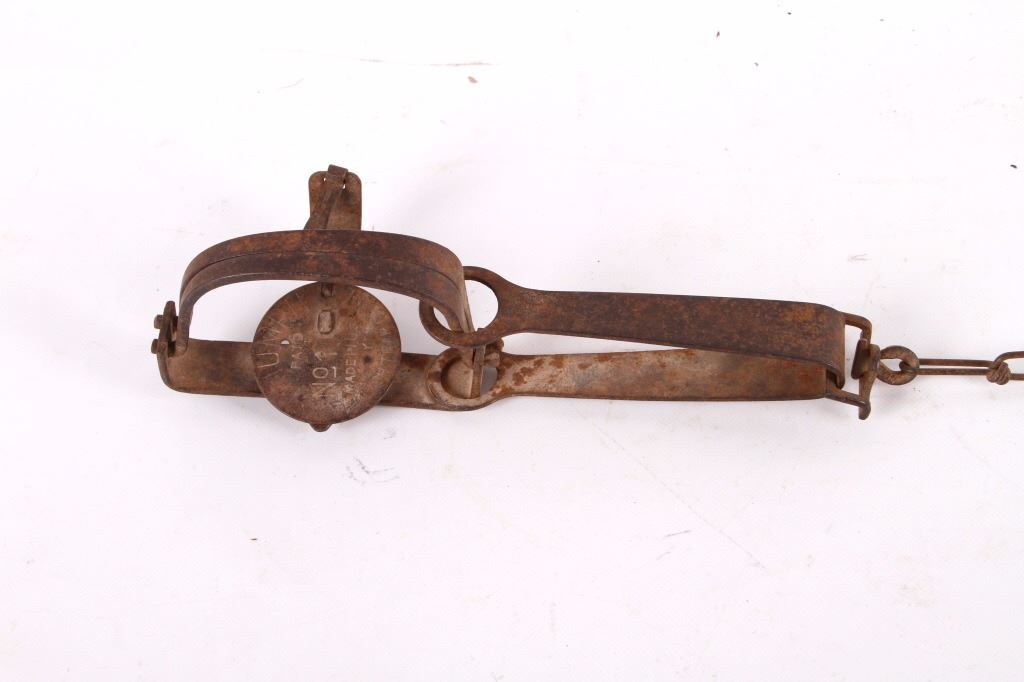 Vintage Collection Of Beaver Traps