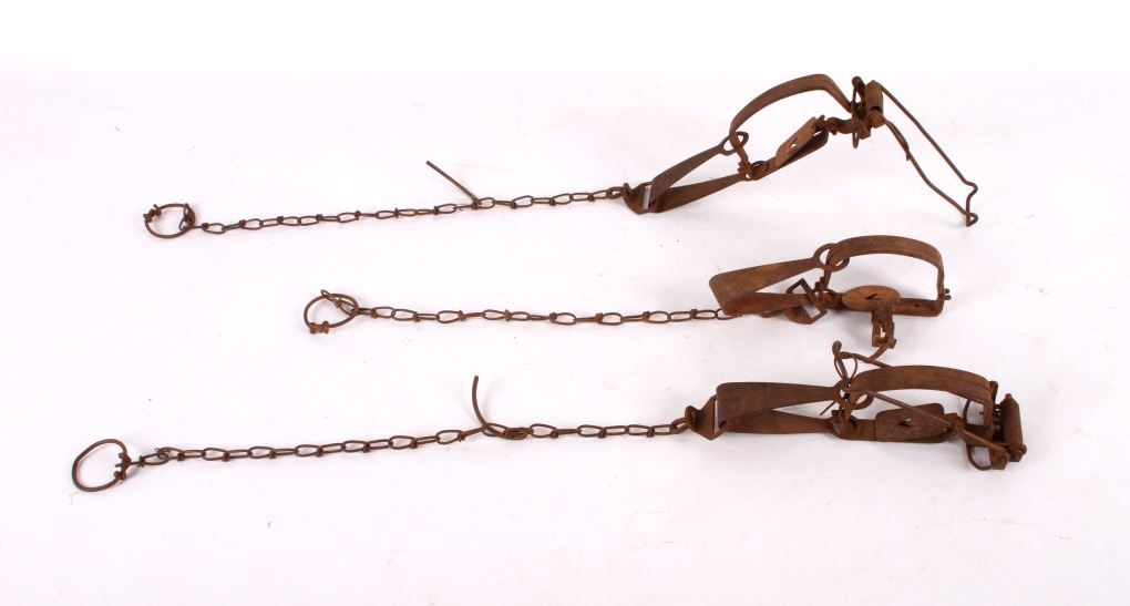 Vintage Collection Of Beaver Traps