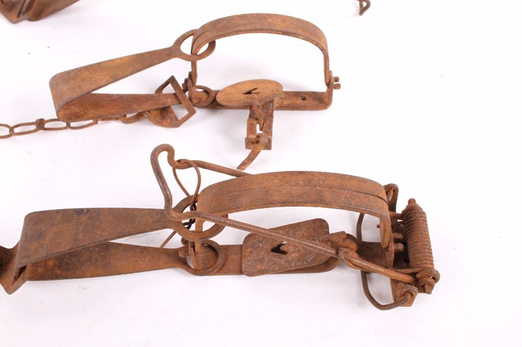 Vintage Collection Of Beaver Traps