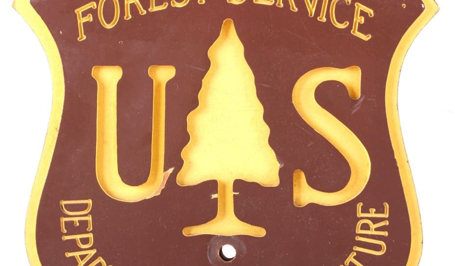 U.S. Forest Service Carved Wooden Sign