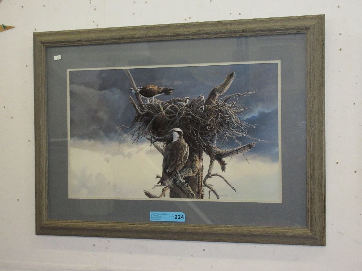 Framed Lisa Calvert print