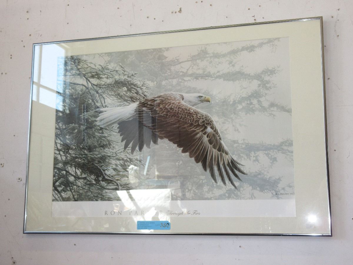 Ron Parker framed print of an Eagle