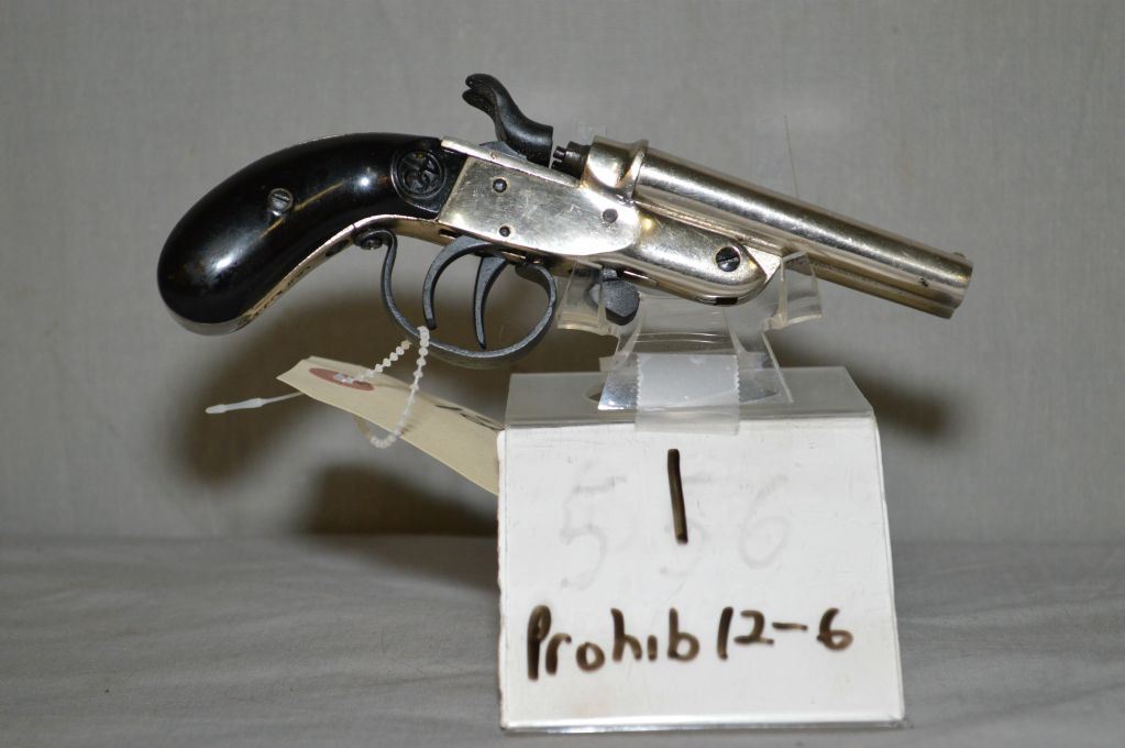 Rossi Model Garrucha .22 LR Cal 2 Shot Side By Side Hammer Pistol w/ 70 ...