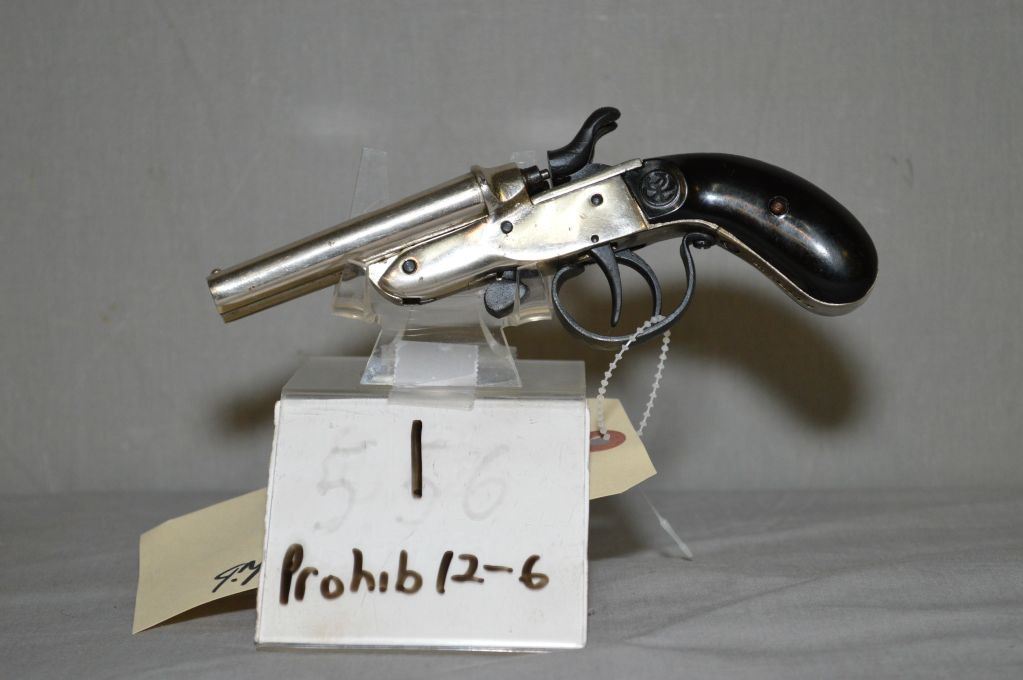 Rossi Model Garrucha .22 LR Cal 2 Shot Side By Side Hammer Pistol w/ 70 ...