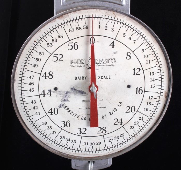 Farm Master Dairy Scale w/ Milk Pail