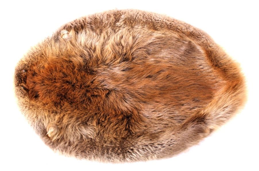 Montana Tanned Prime Beaver Pelt