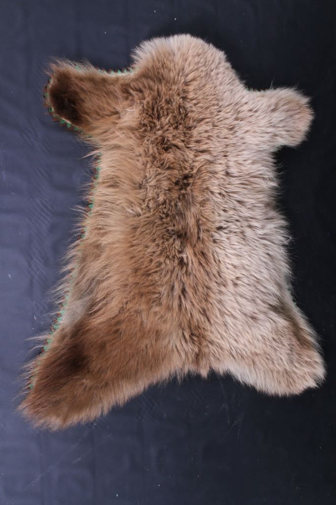 Black Bear Rug With Cinnamon Color