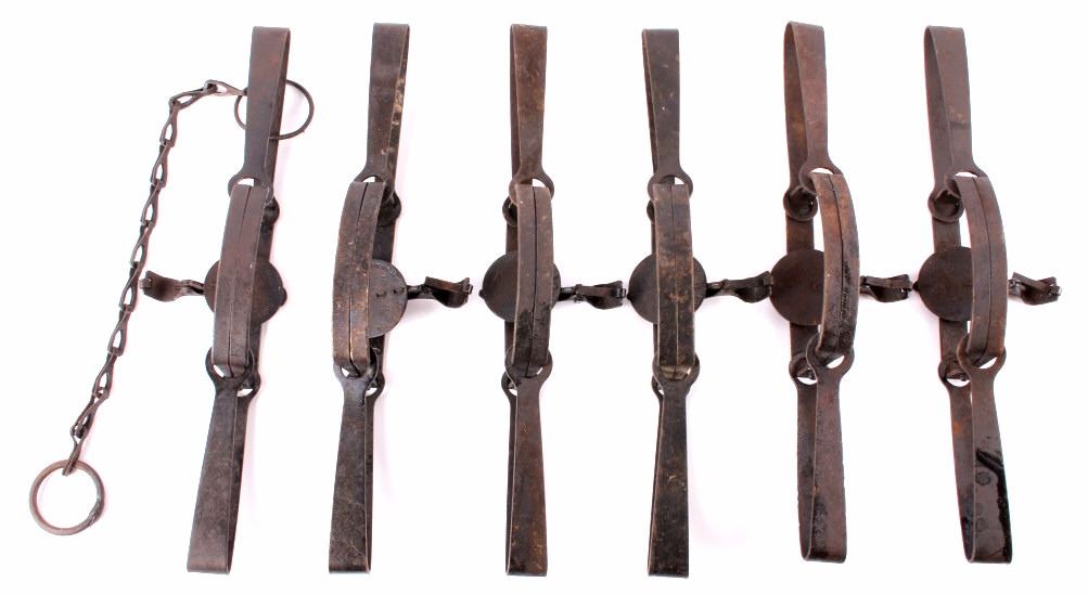 Triumph #4 Long Spring Trap Collection