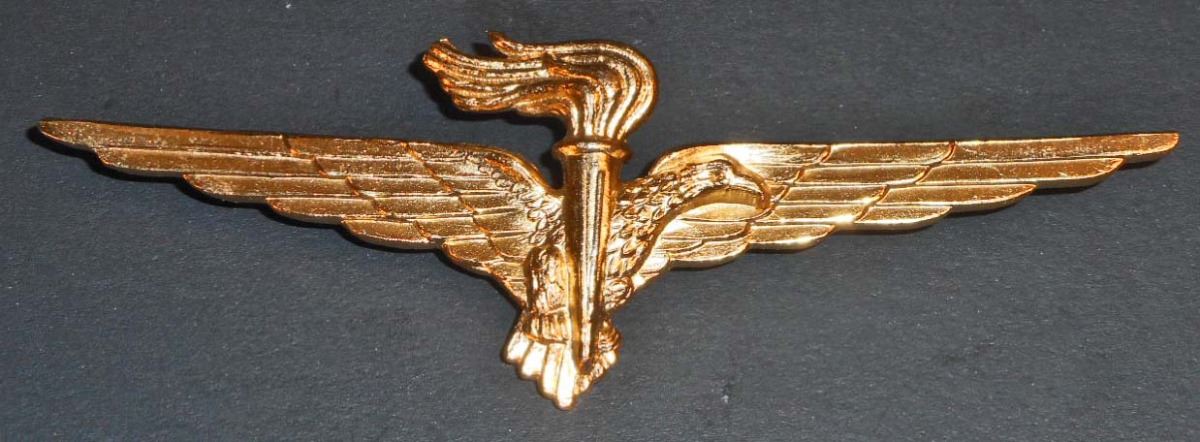 ITALIAN NAZI GERMAN LUFTWAFFE AXIS AVIATOR OBSERVER WING