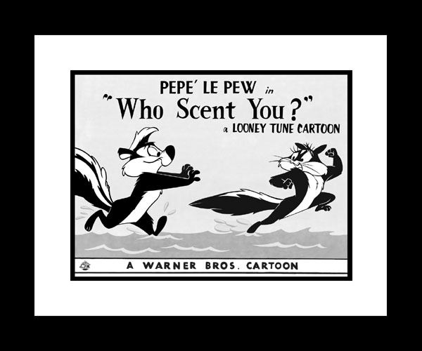 Warner Bros. Who Scent You? Pepe Le Pew