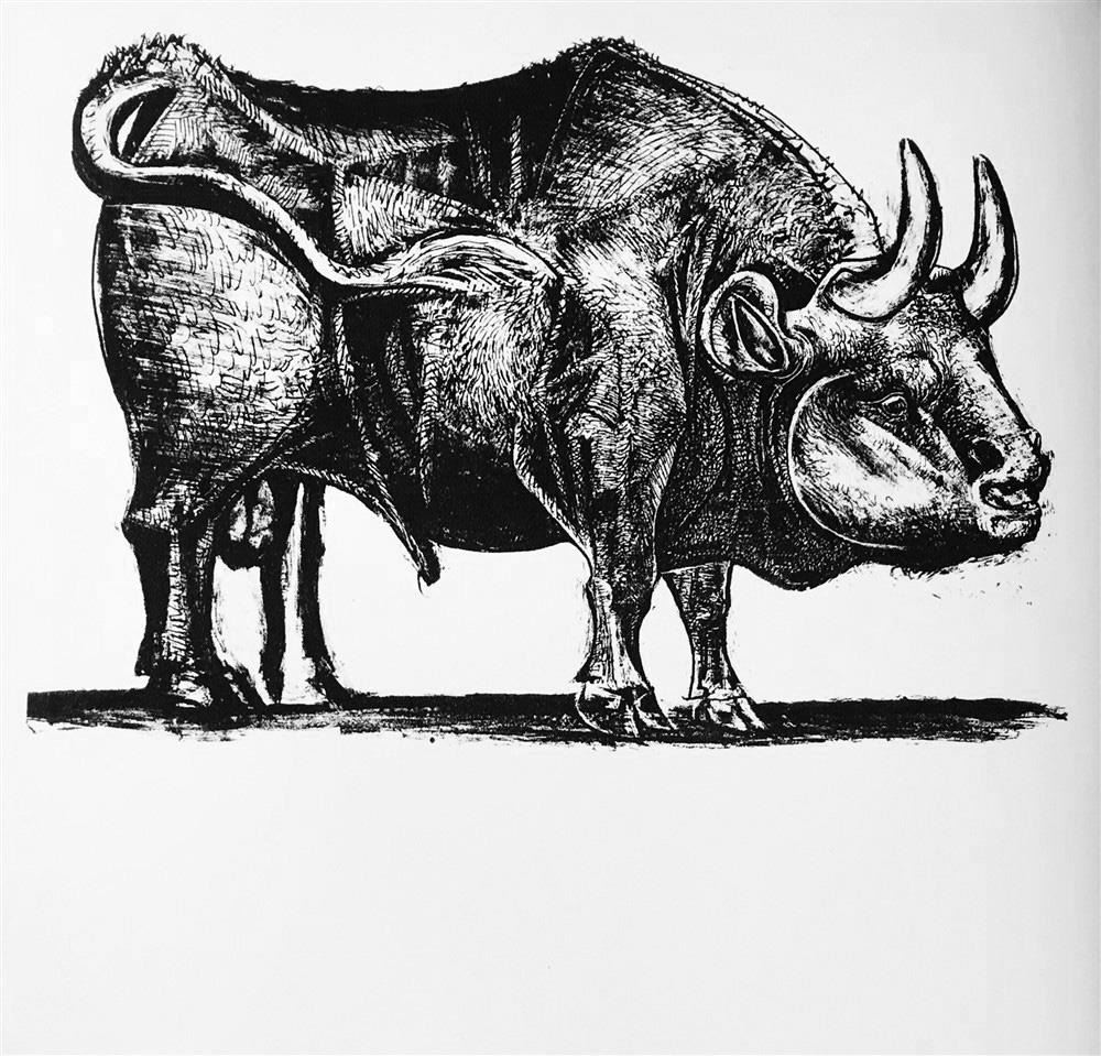Pablo Picasso 'After' Bull c. 1945 Fine Art Print from Museum Artist