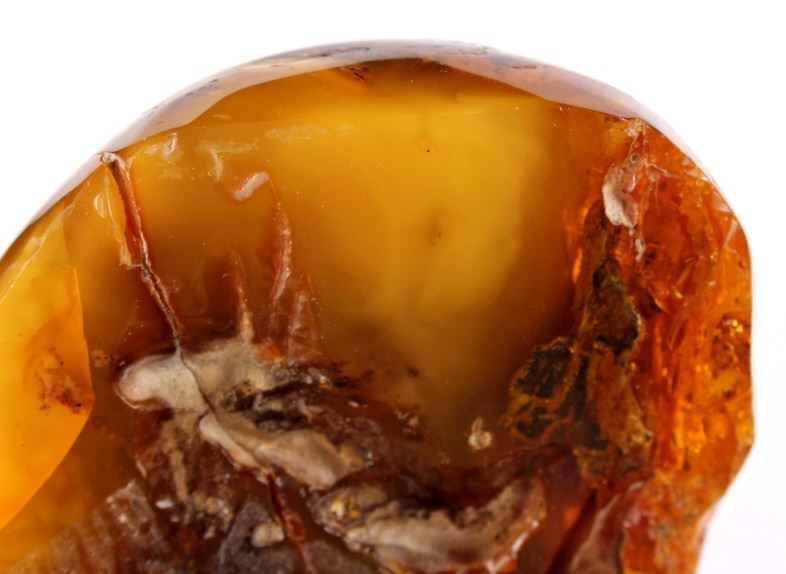 Ancient Amber Specimen