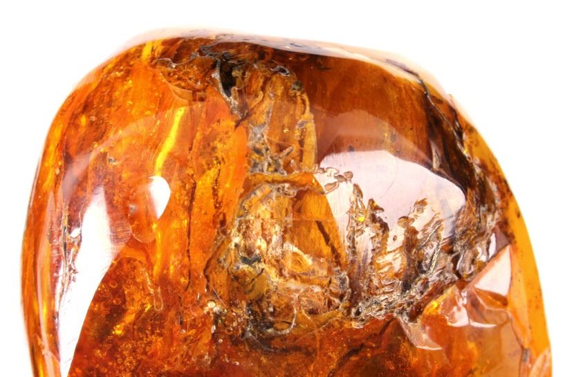 Ancient Amber Specimen