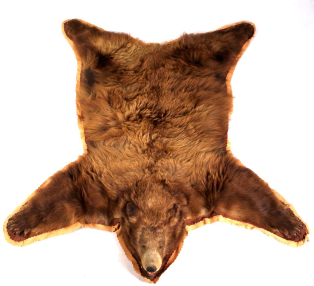 Montana Cinnamon Brown Bear Rug
