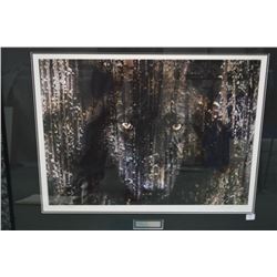 Framed limited edition print "The Hunter" pencil signed by artist Don ...