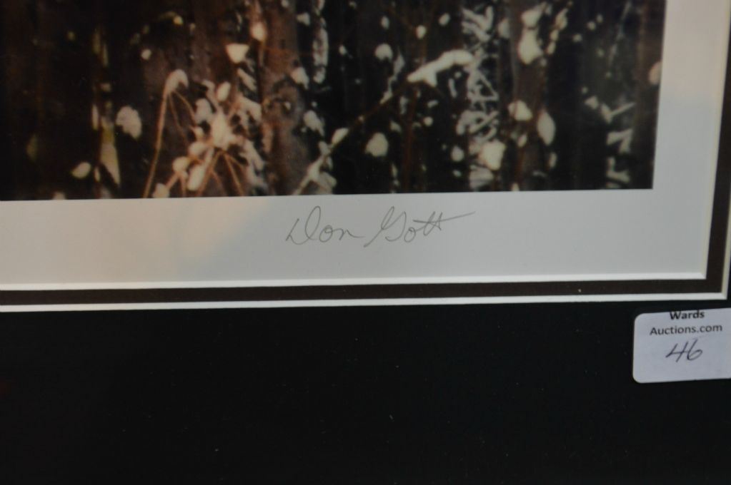 Framed limited edition print "The Hunter" pencil signed by artist Don ...