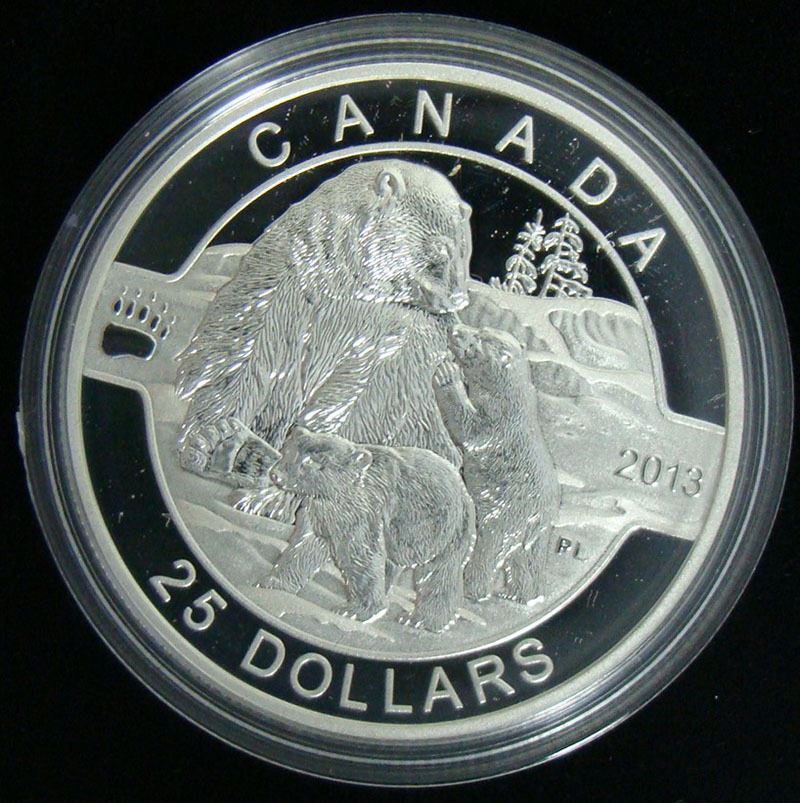 2013 Canada $25 Fine Silver Coin - Polar Bear