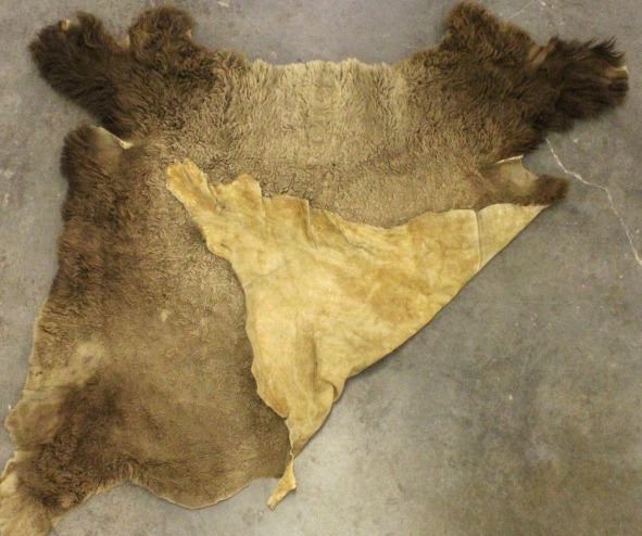 Montana Tanned Buffalo Hide