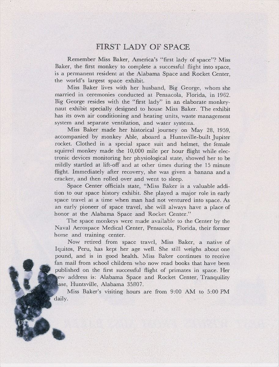 Miss Baker Paw ‘Signed’ Print Photograph