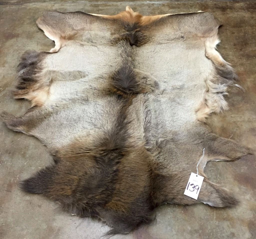 Elk Hide