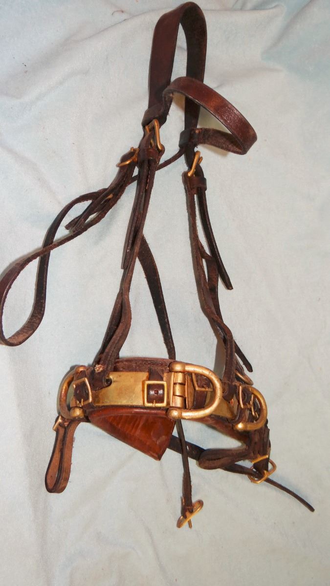 Work horse / training headstall w/brass and leather nose band