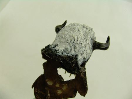 Bruce Contway (b.1980)