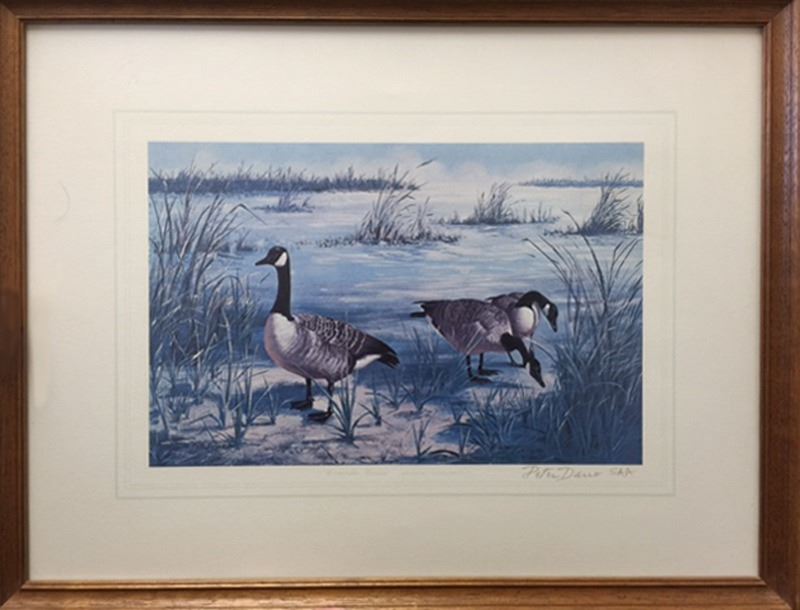 Peter Darro, Canada Geese (Branta Cadanensis), Lithograph